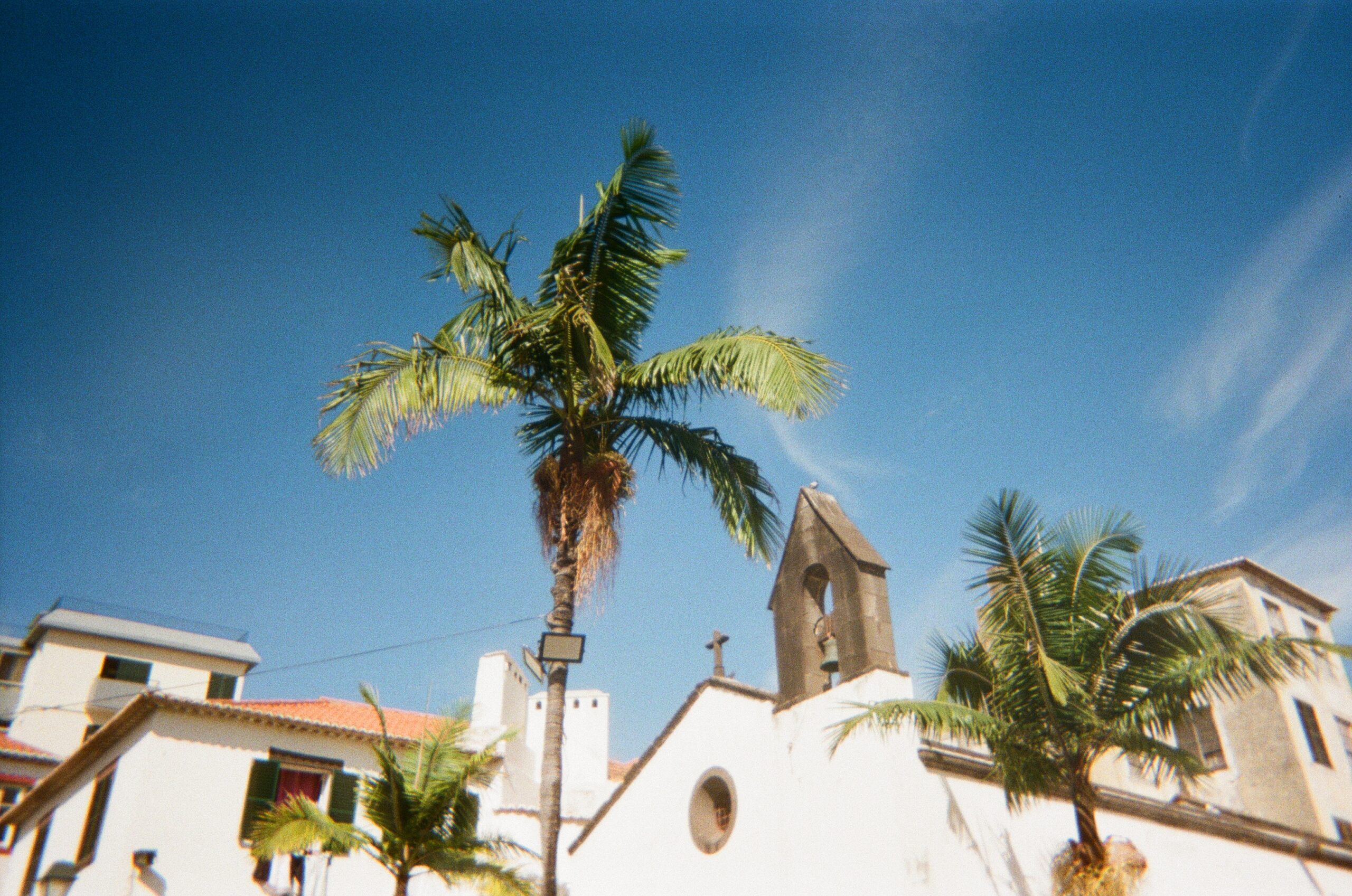 Madeira 2023 - Single Use