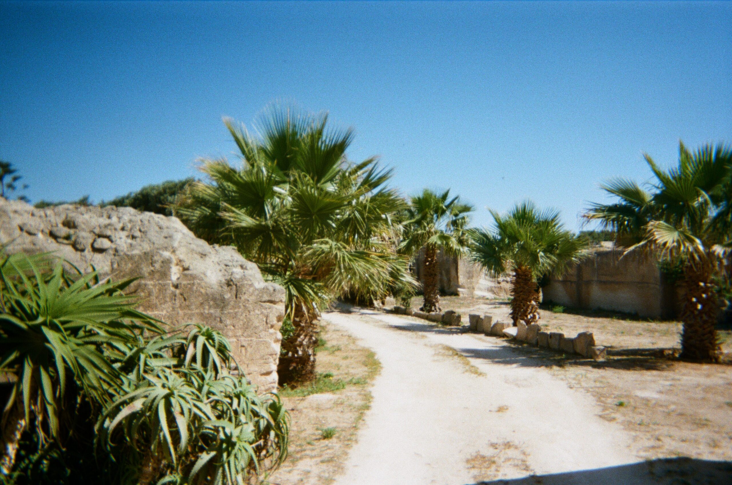 Favignana 2024 - Single Use